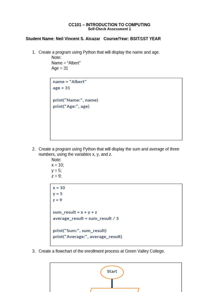 CC101 - Self Check Assessment 1 | PDF