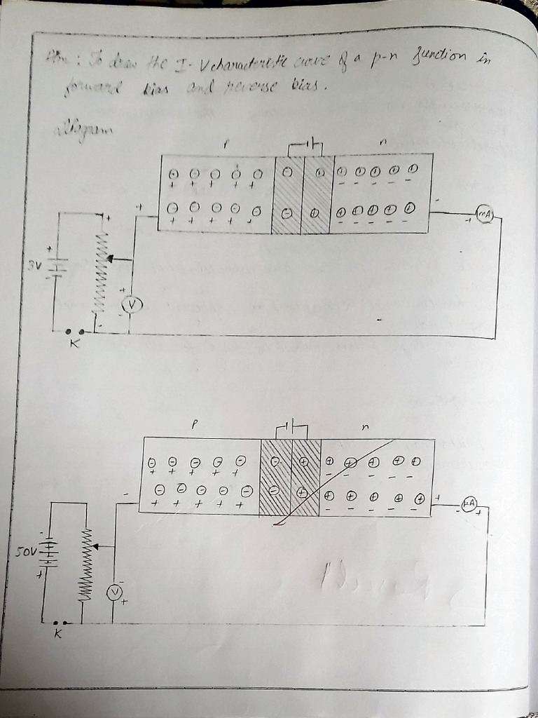 phy prac 8 - activity 5 | PDF