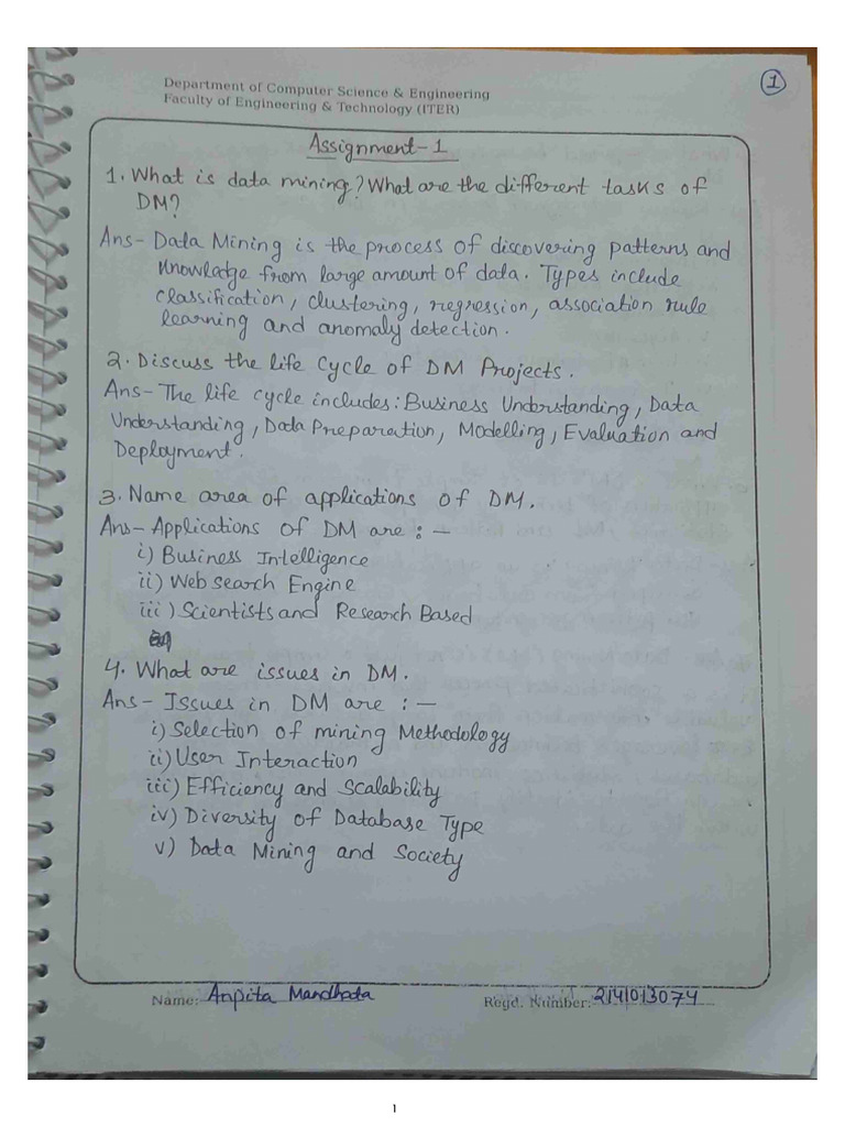 DM Assignment-1 (Ch-1) | PDF