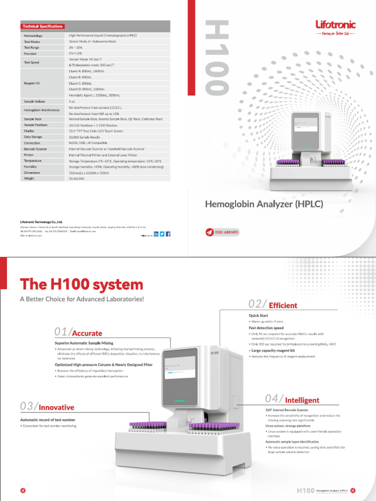 H100 Brochure 20240612 | PDF