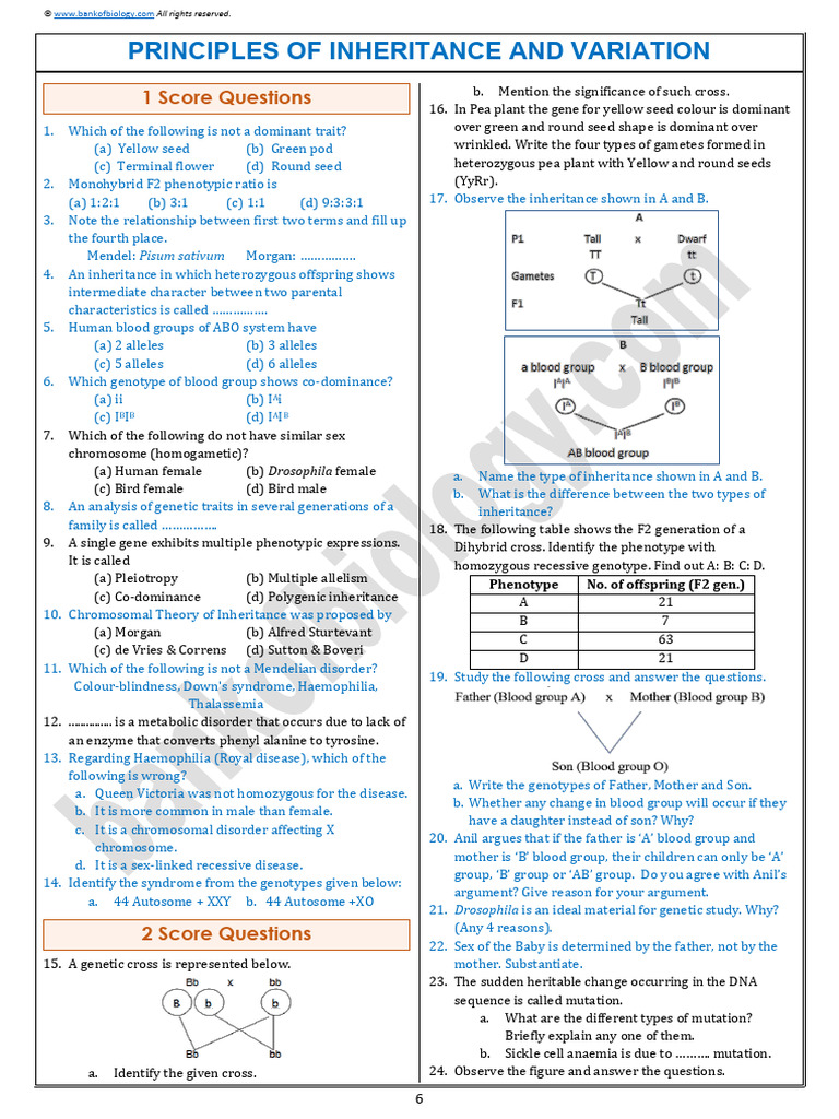 Genetics Quiz for Biology Students | PDF | Dominance (Genetics ...
