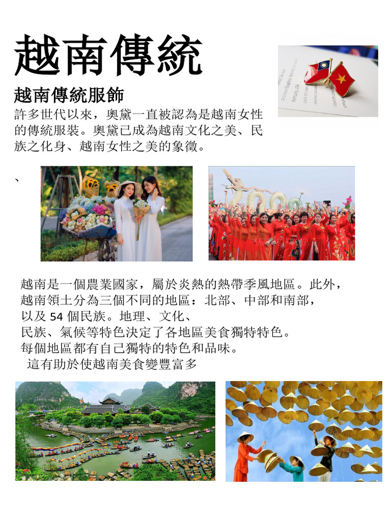 %E8%B6%8A%E5%8D%97%E5%82%B3%E7%B5%B1 | PDF