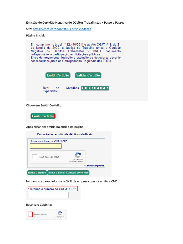 Processo de Emissão Da CND Trabalhista | PDF