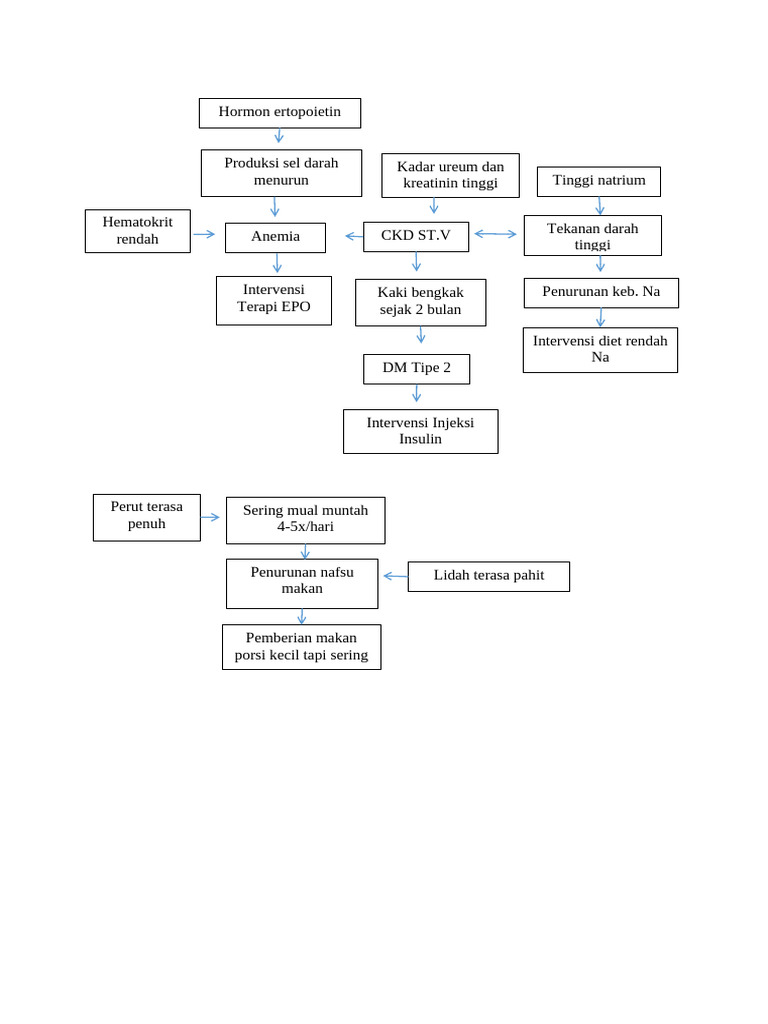 Kerangka MSLH CKDD | PDF