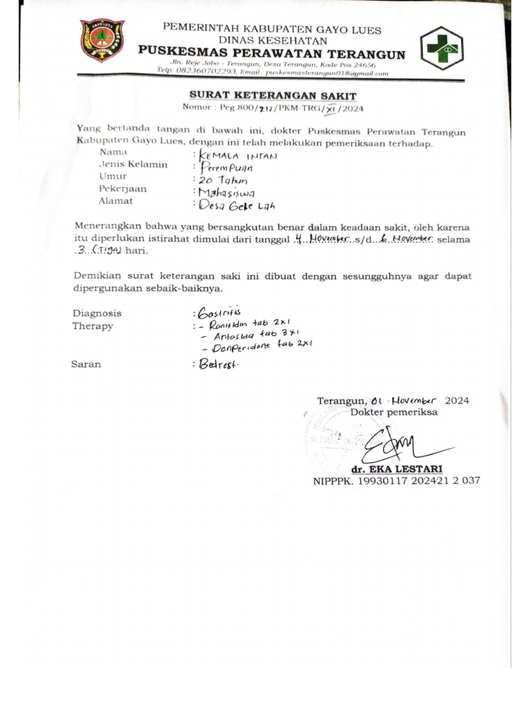 ACE Scanner - 2024 - 11 - 01 | PDF