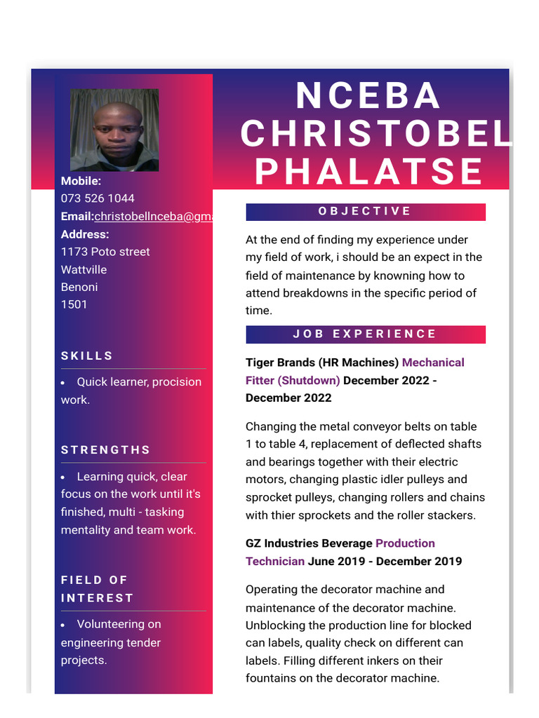 Mechanical Fitter CV - Nceba Phalatse | PDF