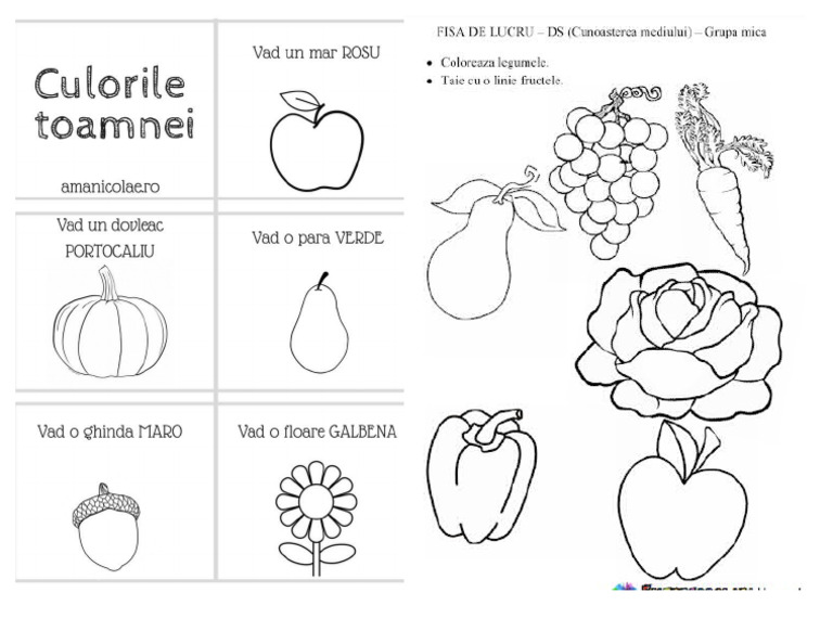 Fise de Lucru Toamna | PDF