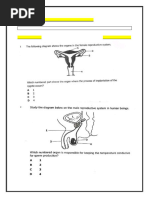 G9 R.E Past Papers and Marking Keys (2015 - 2021) | PDF | Jesus | God