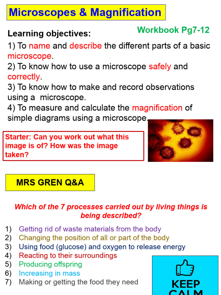 Week 3 Microscopes & Magnification (Miss Alya) | PDF | Glass Engineering And Science | Lenses