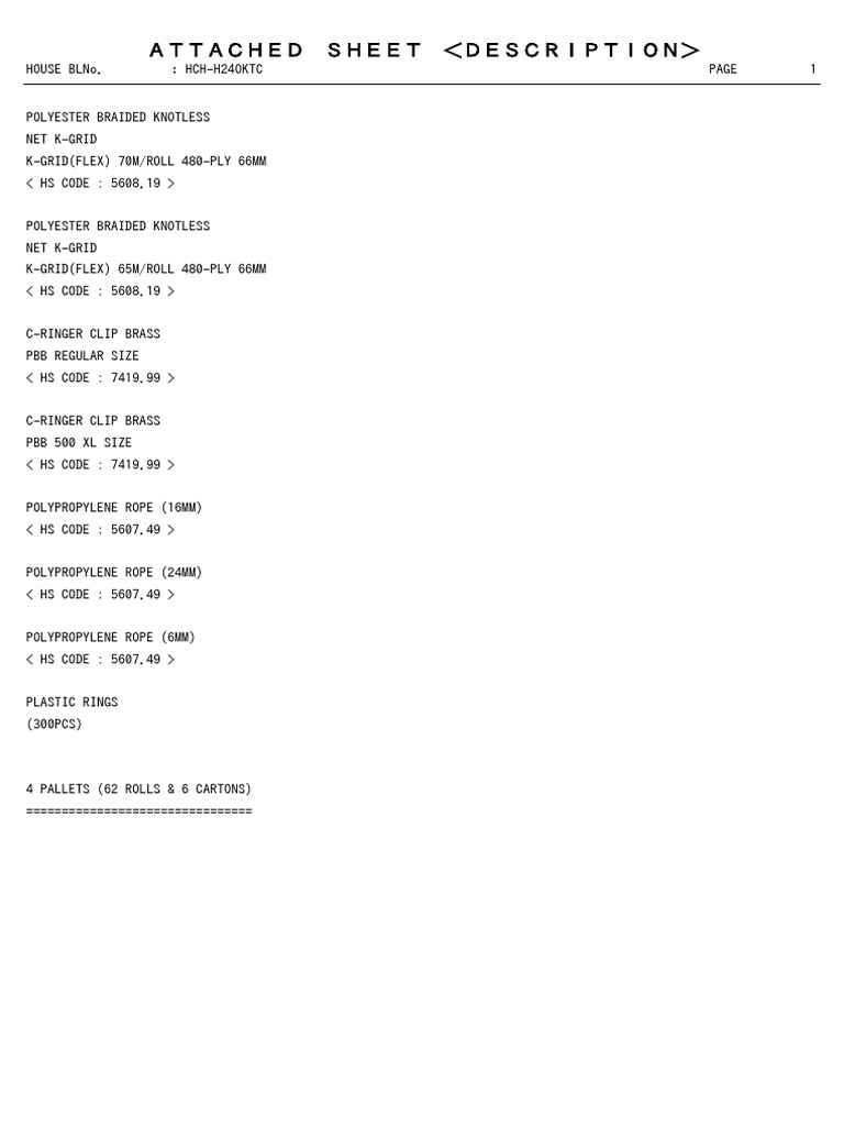 Attached Sheet DSPT Hch-H24oktc 20240324 235527 | PDF