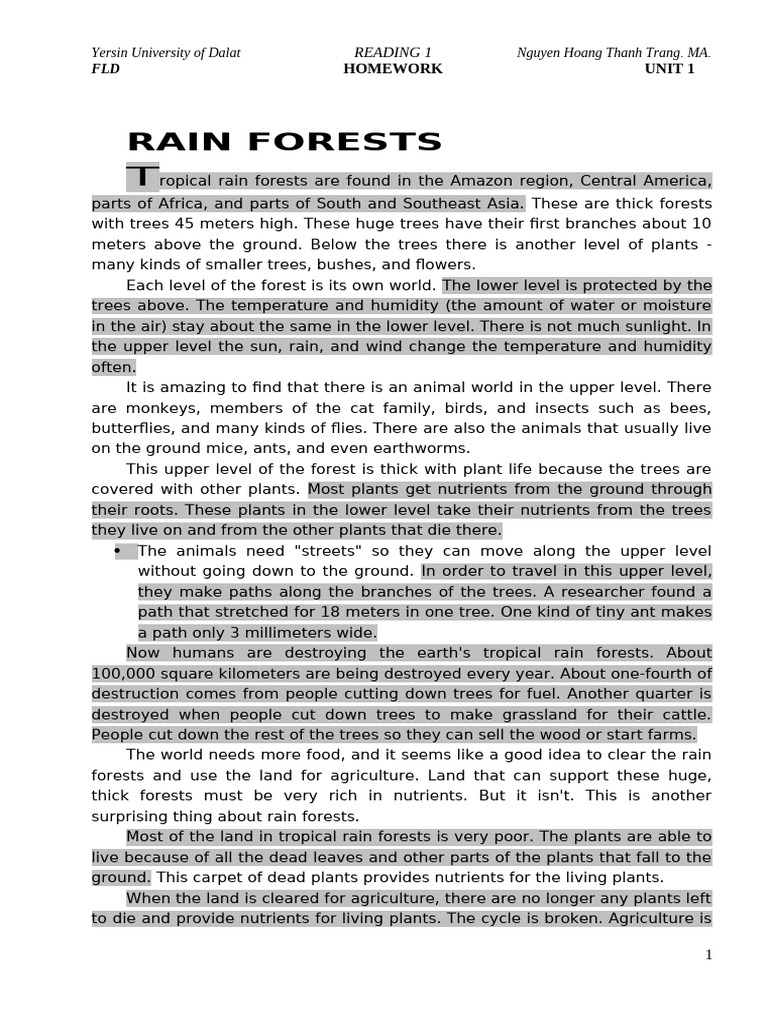 Bản Sao Homework Unit 1 | PDF | Rainforest | Forests