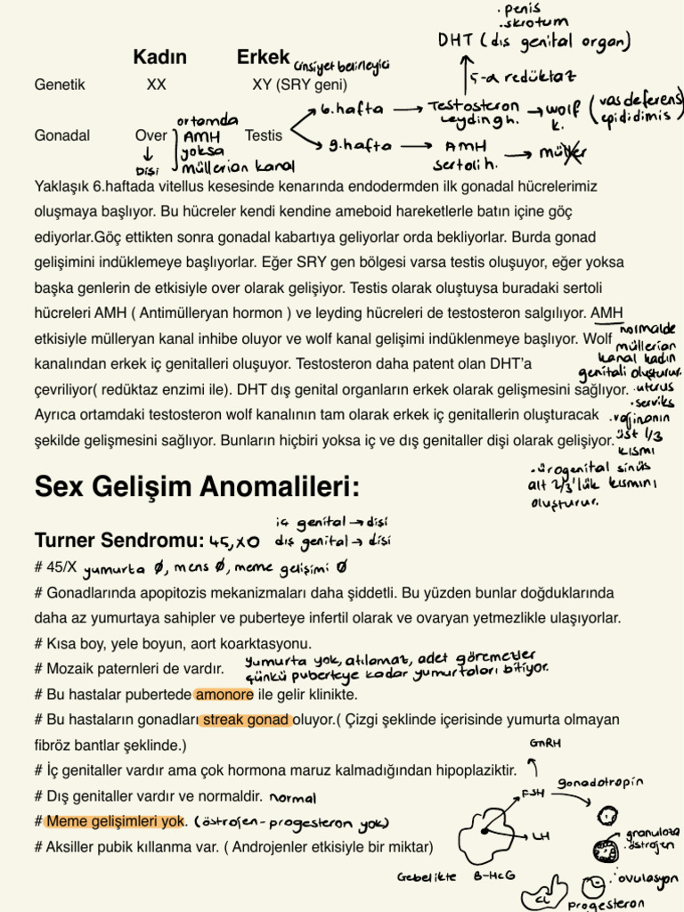 Kadın Doğum Slayt Dışı | PDF