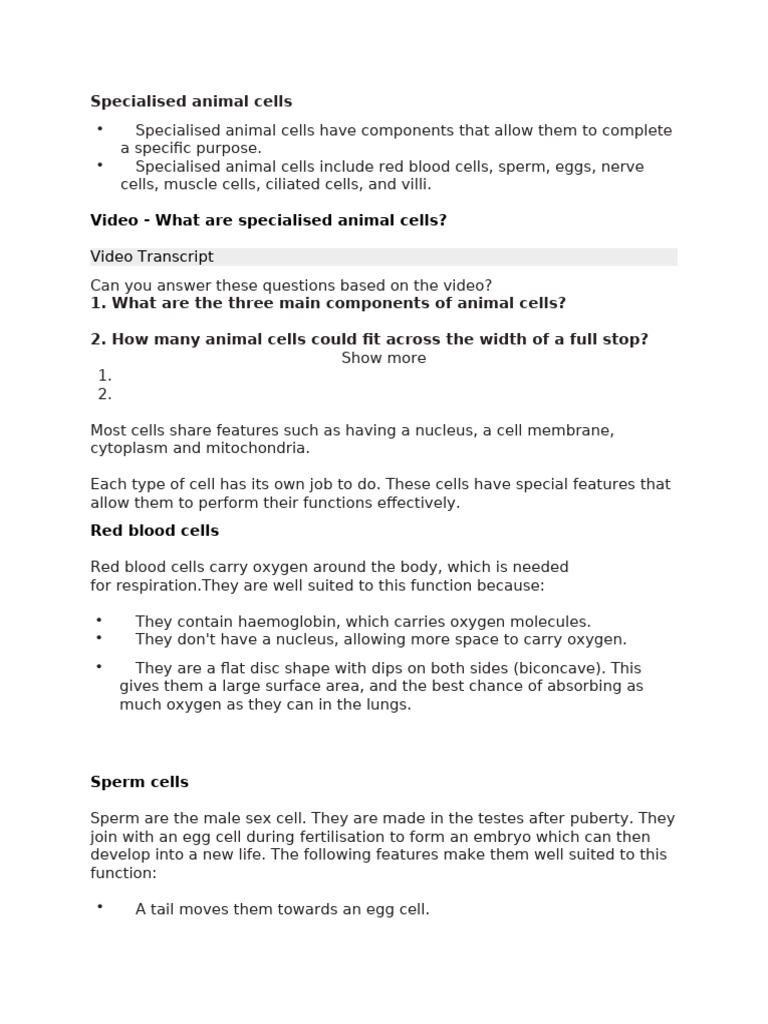 Specialised Animal Cells Explained | PDF | Fertilisation | Cell (Biology)