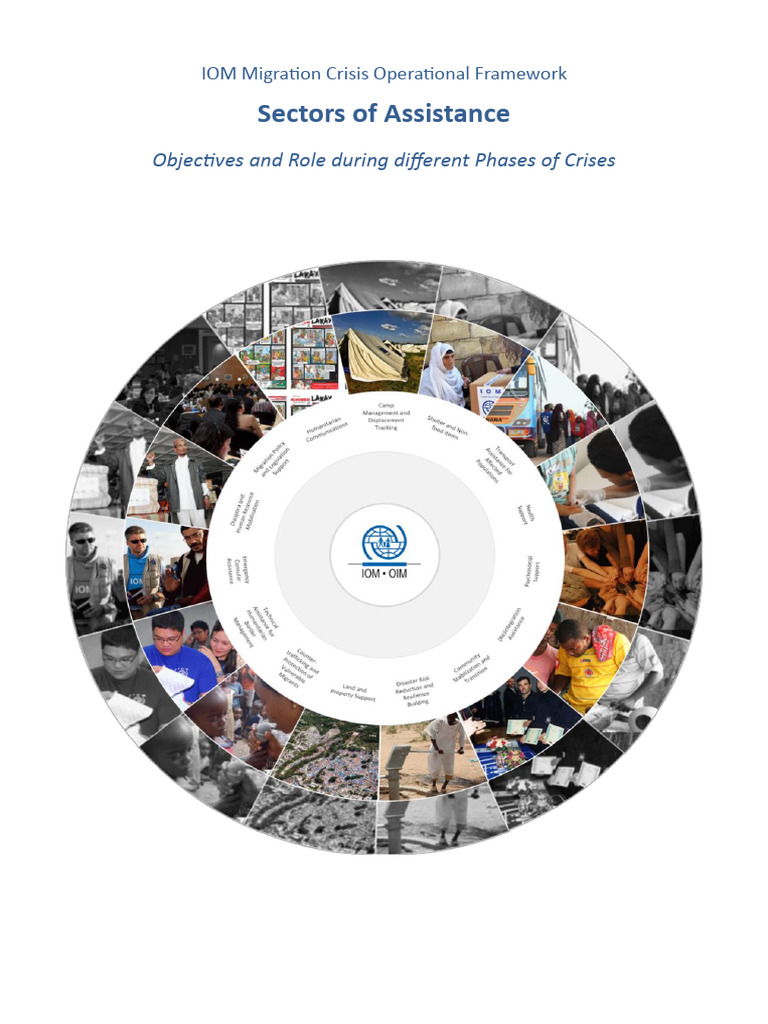Iom Mcof Sectors of Assistance | PDF | International Organization For ...