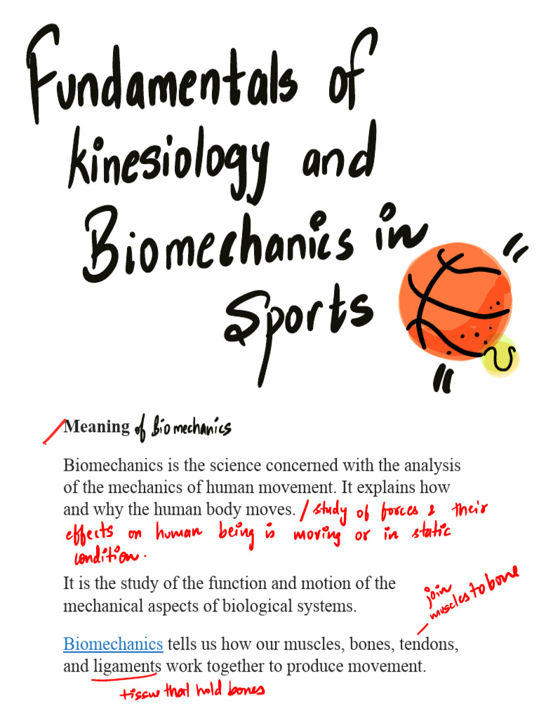 Fundamentals of Kinesiology and Biomechanics | PDF | Anatomical Terms ...