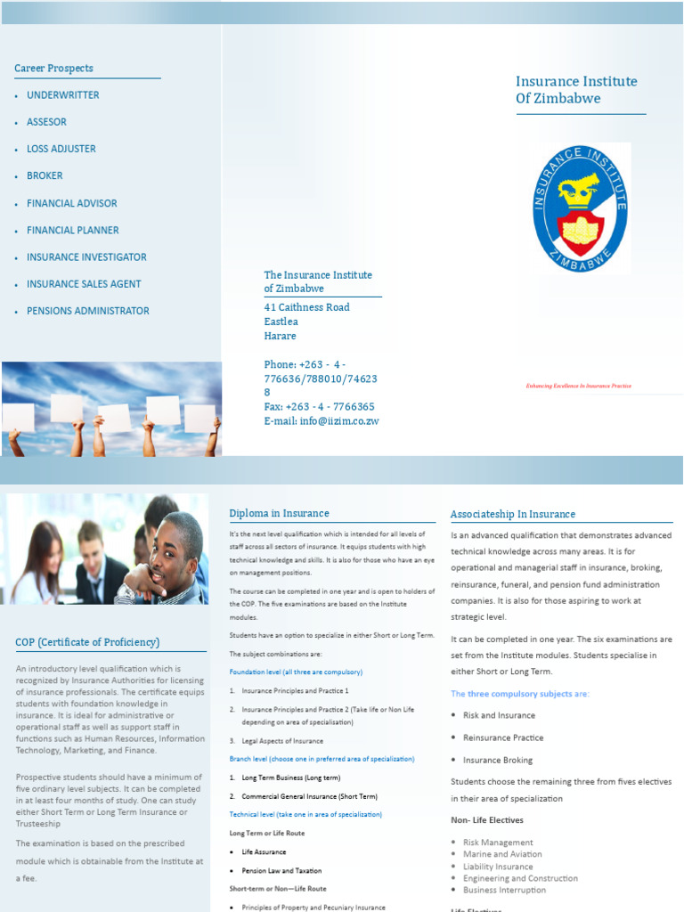 Brochure | PDF | Insurance | Life Insurance