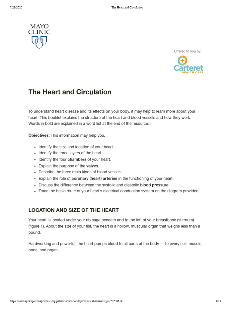 The-Heart-and-Circulation | PDF | Heart | Atrium (Heart)