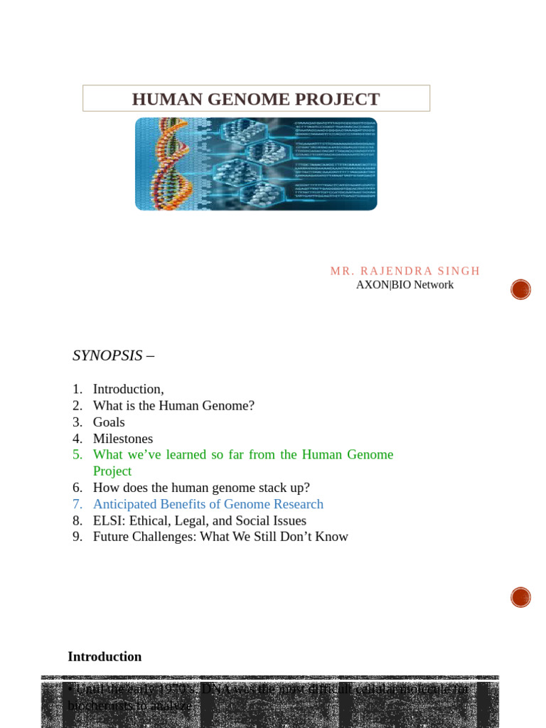 Human Genome Project | PDF | Human Genome | Genome