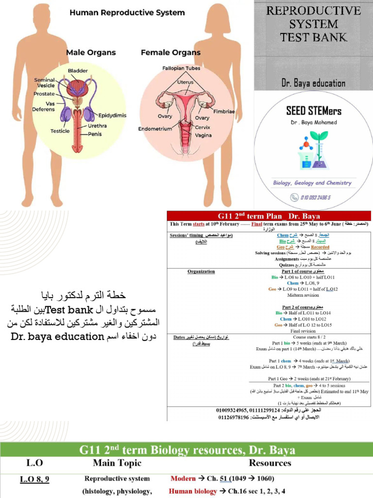 Reproductive System Testbank Dr. Baya Education | PDF | Menstrual Cycle ...