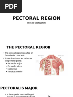 Textbook of Anatomy Upper Limb and Thorax by Vishram Singh | PDF | Arm ...