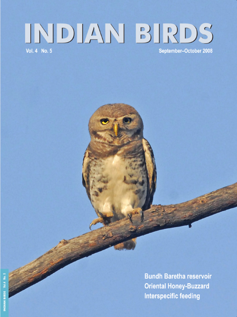 birds indo | PDF | Anatidae | Bird Migration