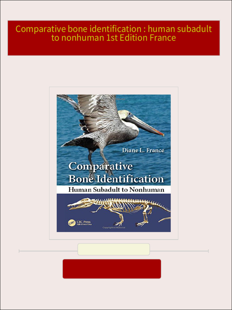 Download ebooks file Comparative bone identification : human subadult ... Download ebooks file Comparative bone identification : human subadult ...