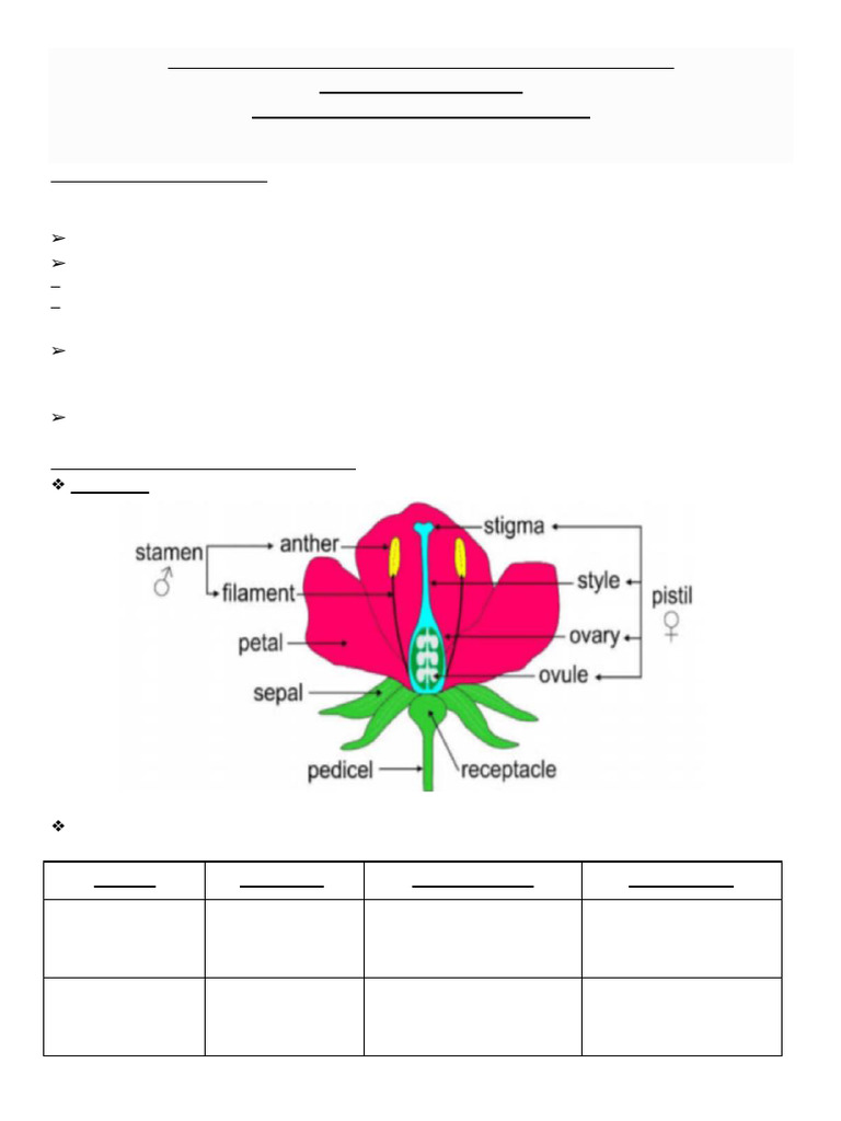 Sexual Reproduction in Flowers | PDF | Flowers | Sexual Reproduction