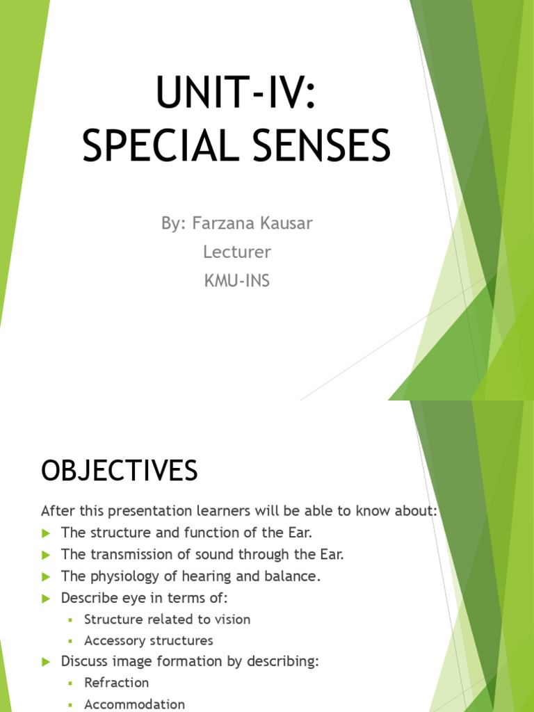 4 Special Senses | PDF | Ear | Human Eye