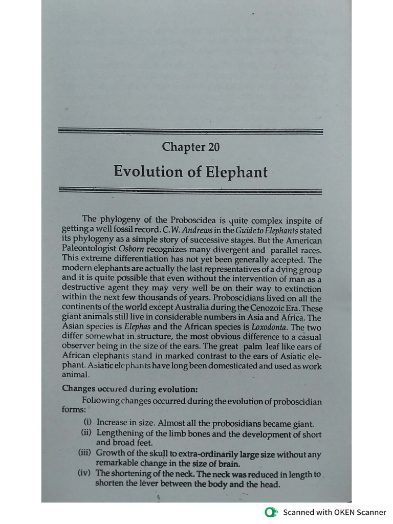 Evolution of Elephant | PDF