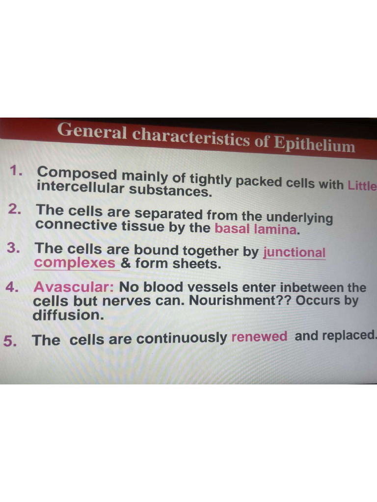 Epithelium | PDF