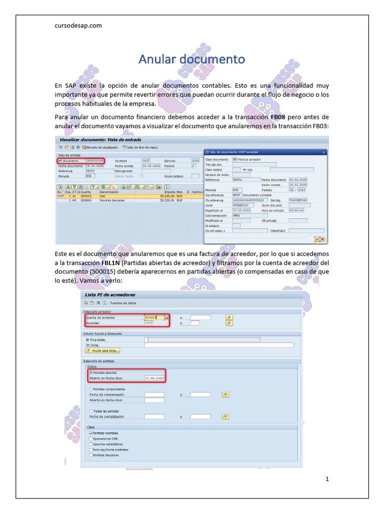 Anular Documento | PDF | Contabilidad | Factura