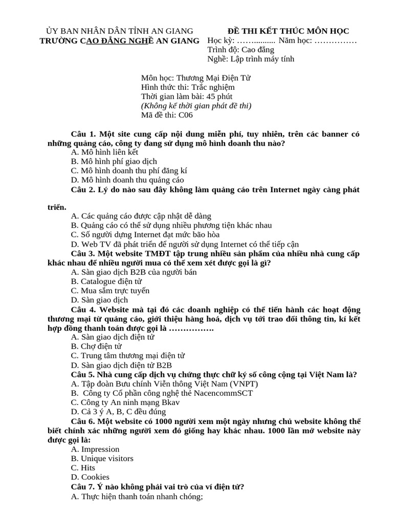 C06 Thương Mại Điện Tử | PDF