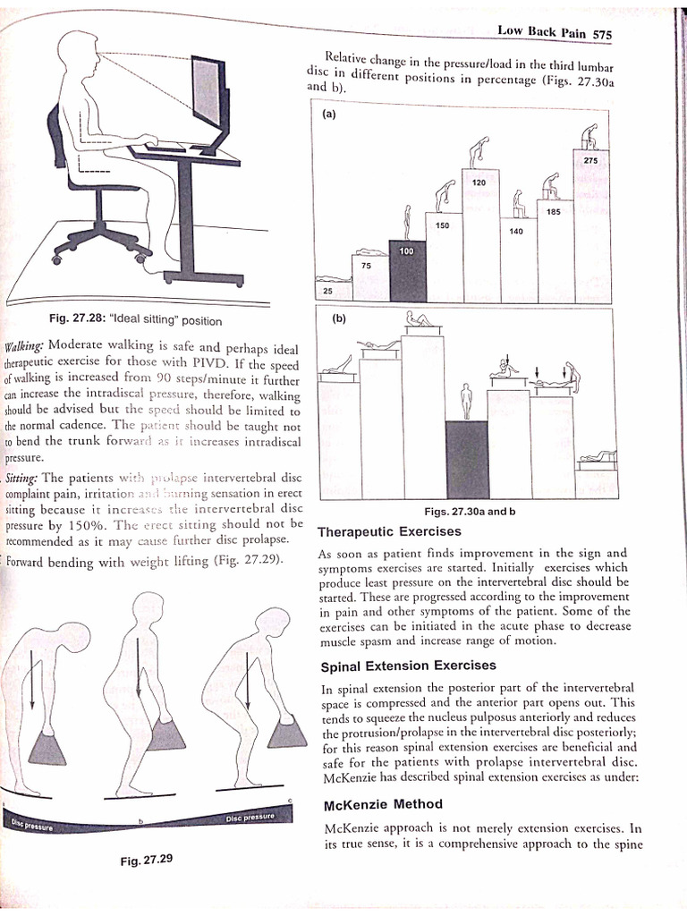Spinal Extension Exercise | PDF