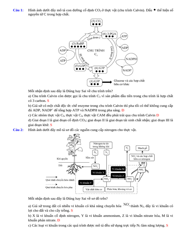 Ôn Tập GHK I | PDF