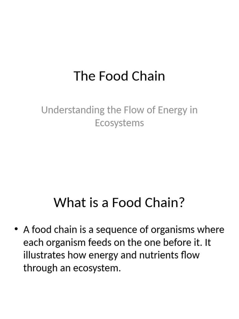Food Chain Presentation | PDF