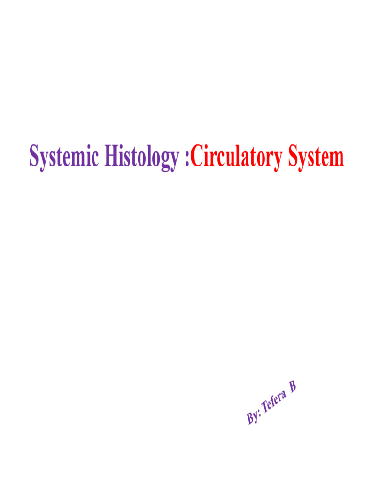 cvs hist (1) | PDF | Artery | Capillary