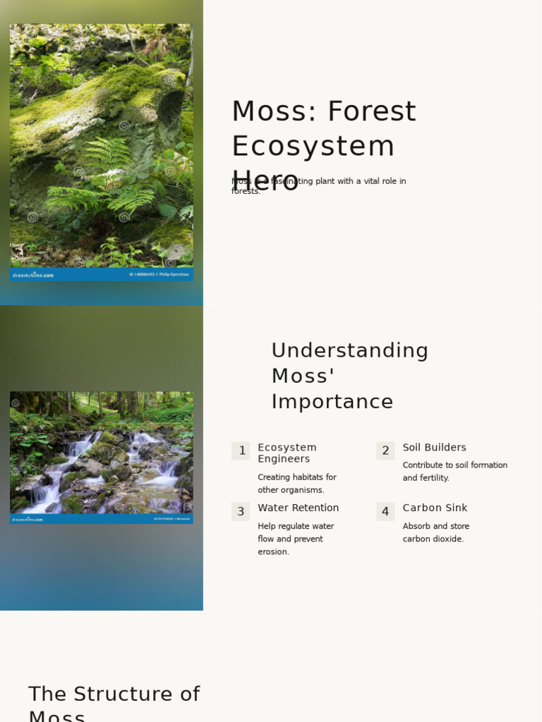 Importance of Moss in Forest Ecosystems | PDF