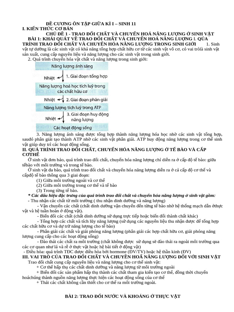 CNG On TP Gia Ki I Sinh 11 - 2024 11 10 - 07 52 41 | PDF