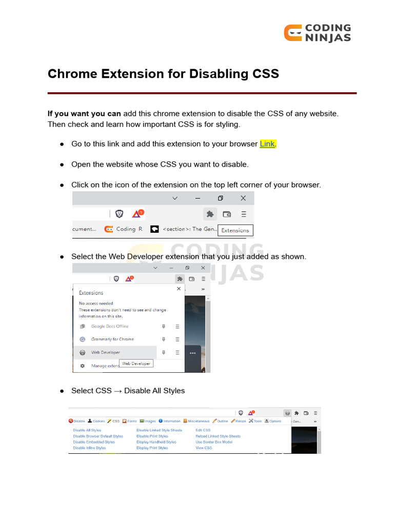 02-Extension For Disabling CSS | PDF