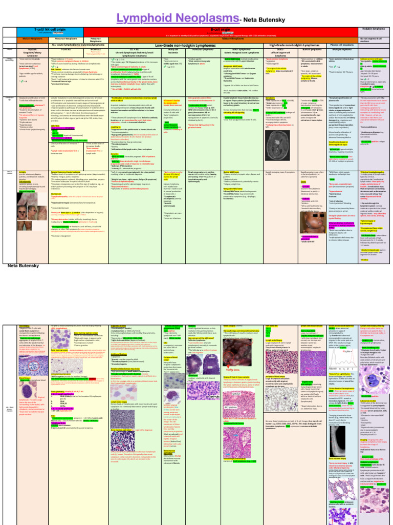 Lymphoid Neoplasms Overview and Types | PDF | Lymphoma | B Cell