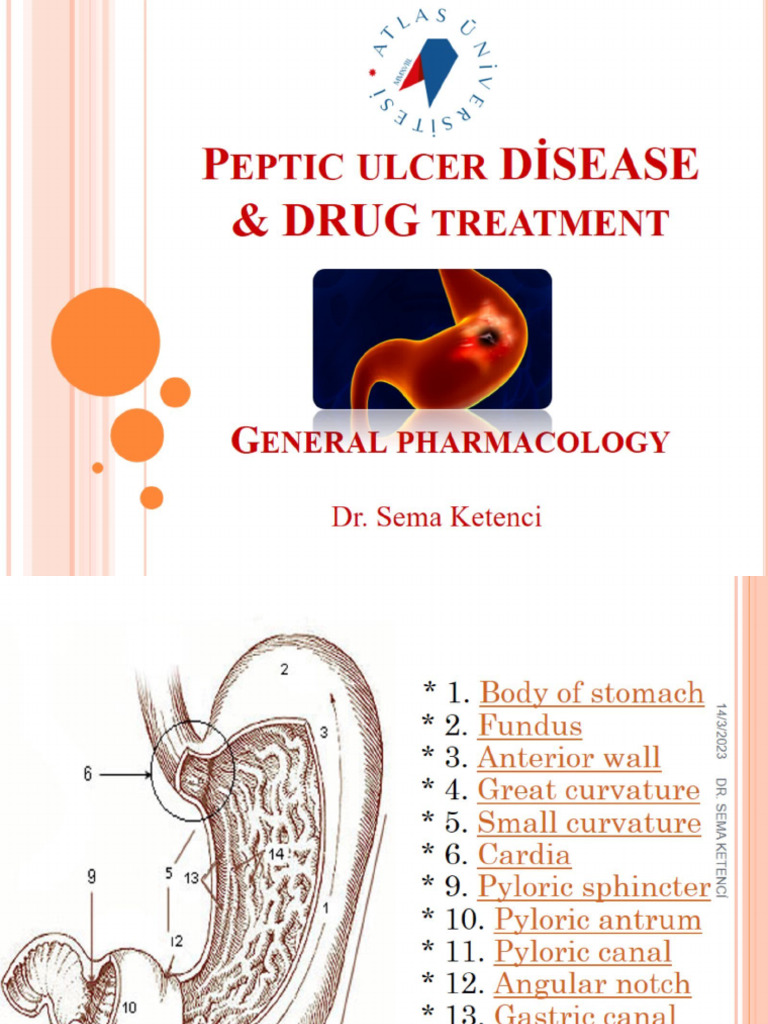 Peptic Ulcer Treatment and Pharmacology | PDF