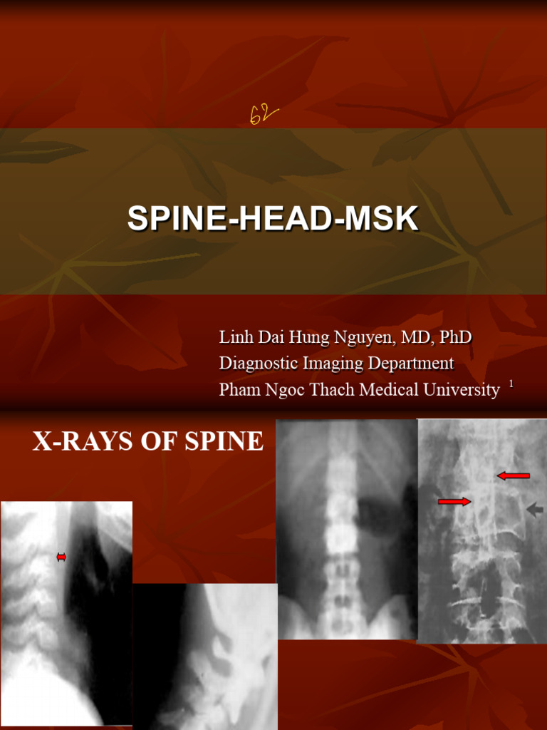 2024-Practice-Spine-Skull-Msk-Dr Linh - 240626 - 153908 | PDF