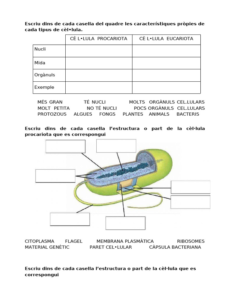 Els Éssers Vius i La Cèl·Lula | PDF
