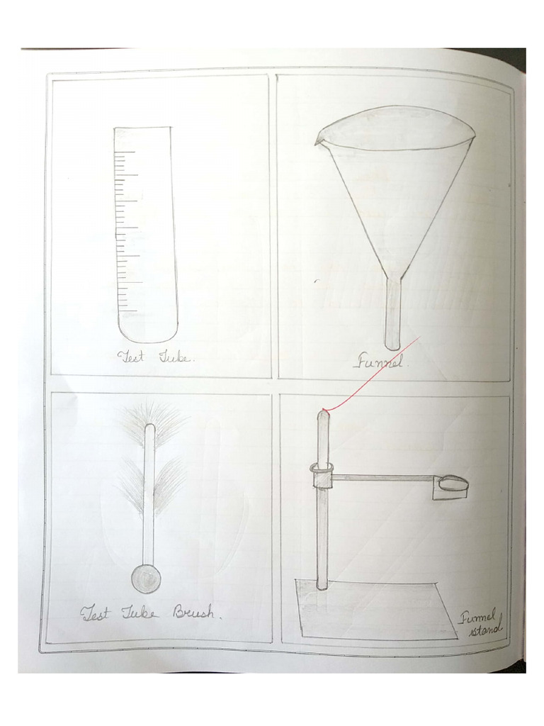 Class 11 Practical | PDF