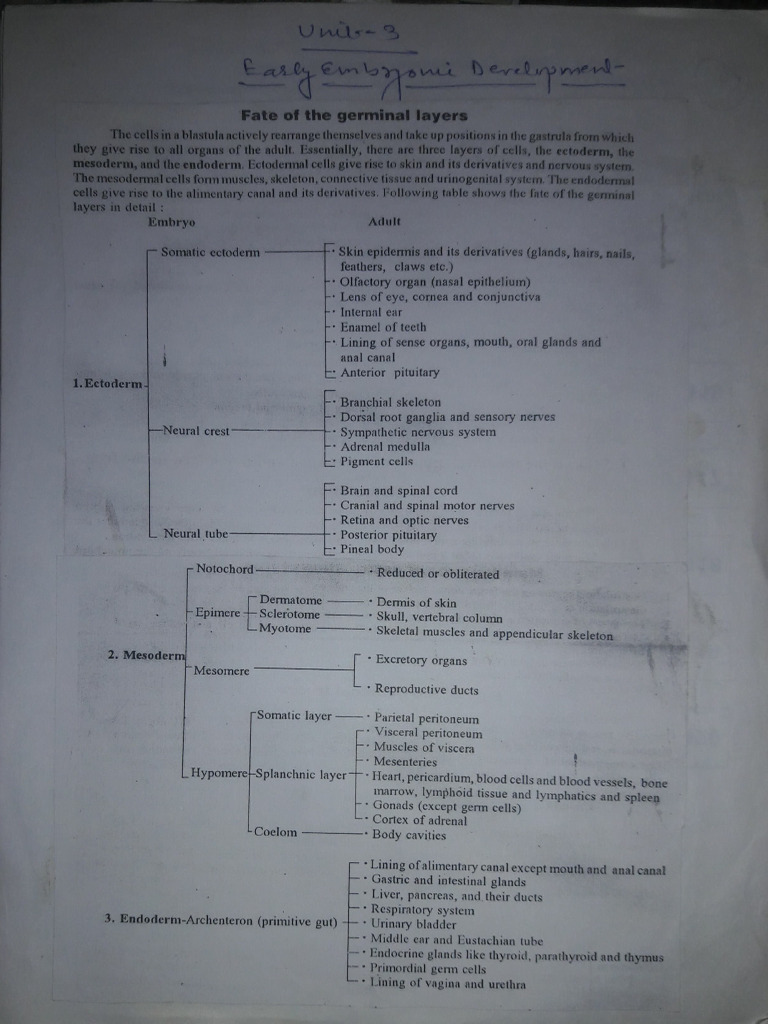 Unit 3 Dev Dev bio | PDF