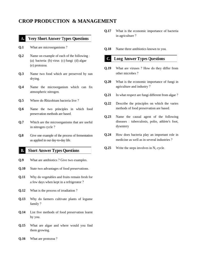 VIII Science Questions | PDF | Cell (Biology) | Fibers