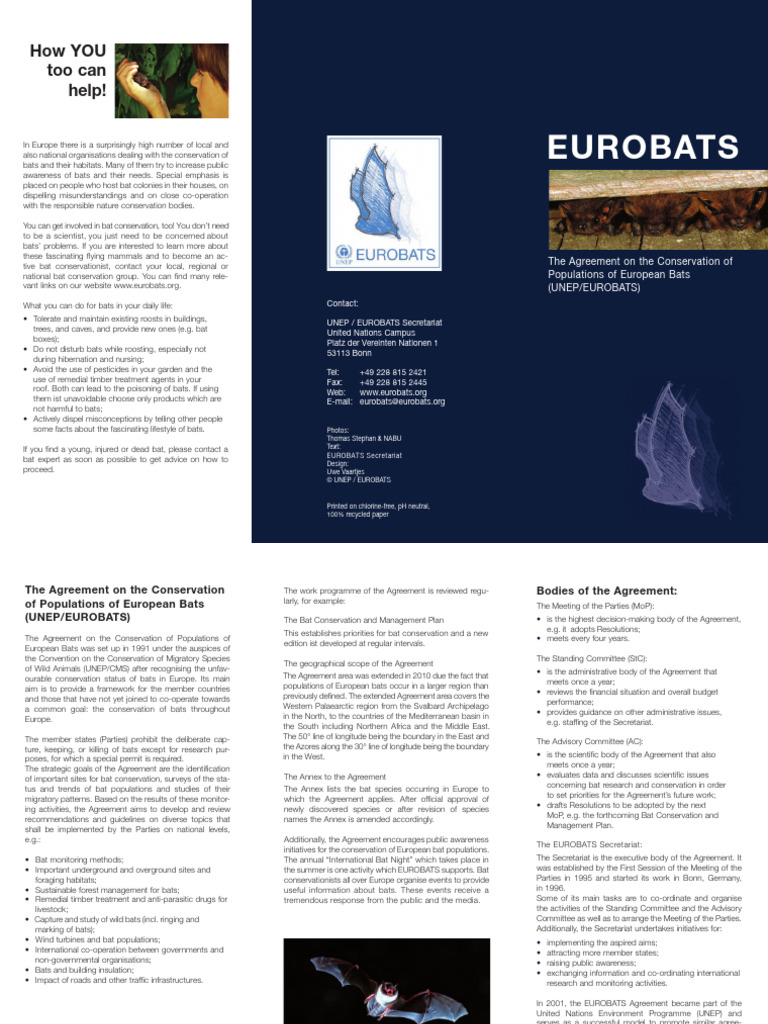 Eurobats Flyer GB - For - Website | PDF | Bat