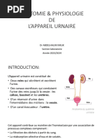 Physiologie de l'Appareil Urinaire | PDF | Rein | Urine