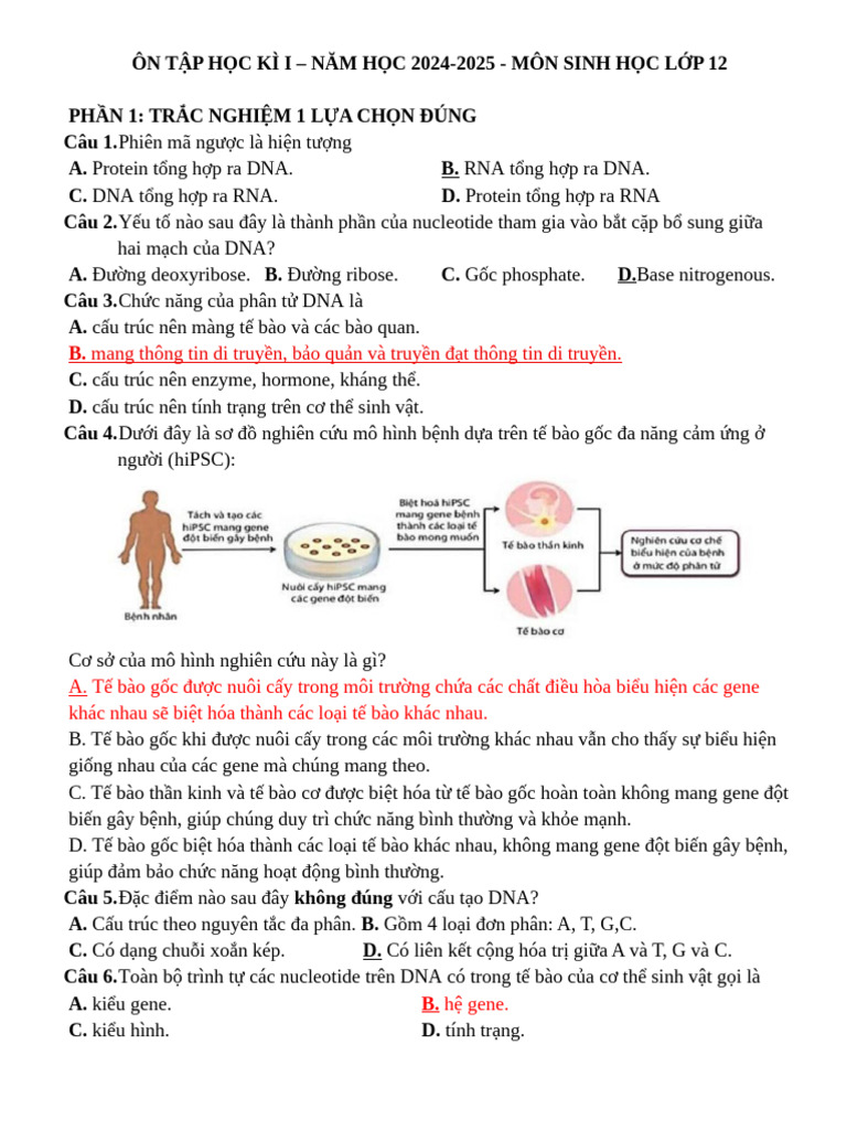 hs ÔN TẬP CUỐI KÌ 1 NHC S12 | PDF