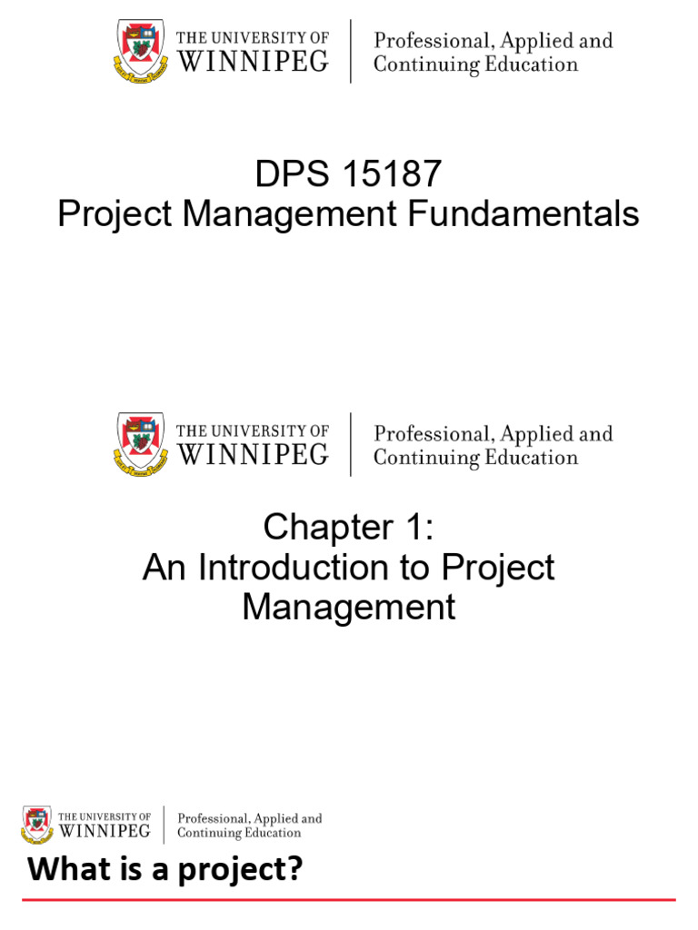 Project Management Basics | PDF | Project Management | Business